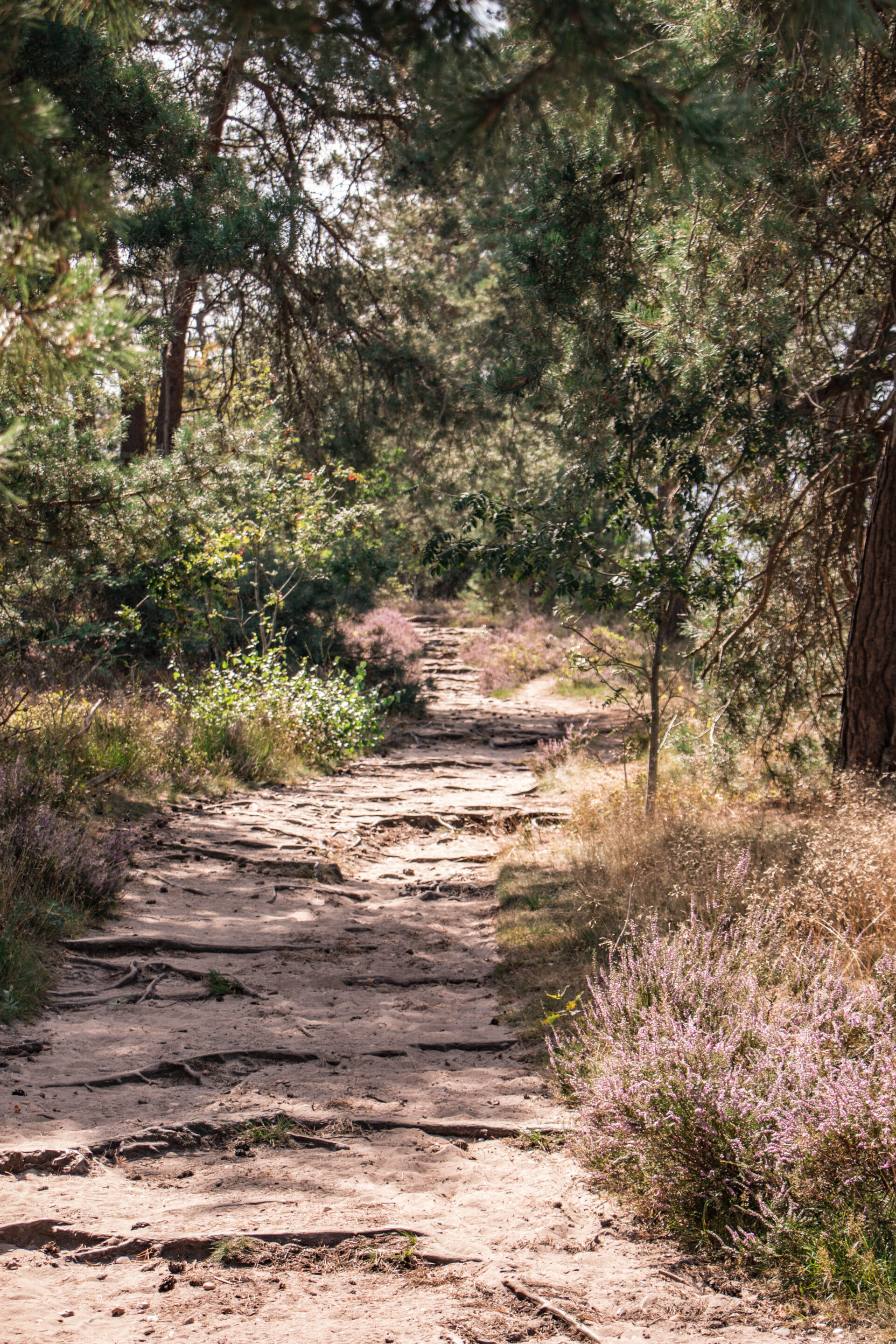 De kracht van stilte - Up in the Air