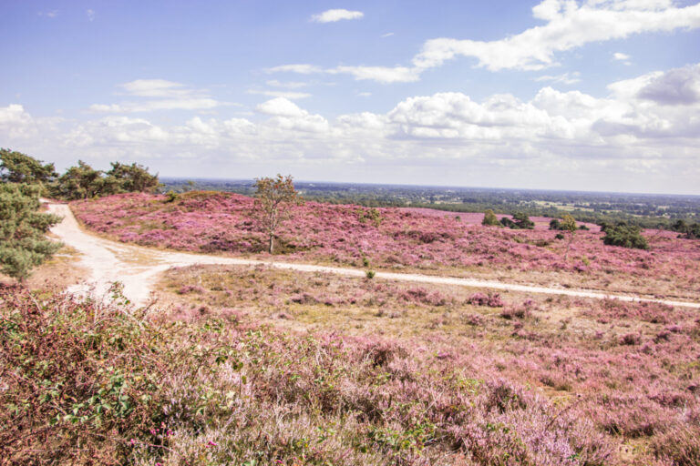 De kracht van stilte - Up in the Air