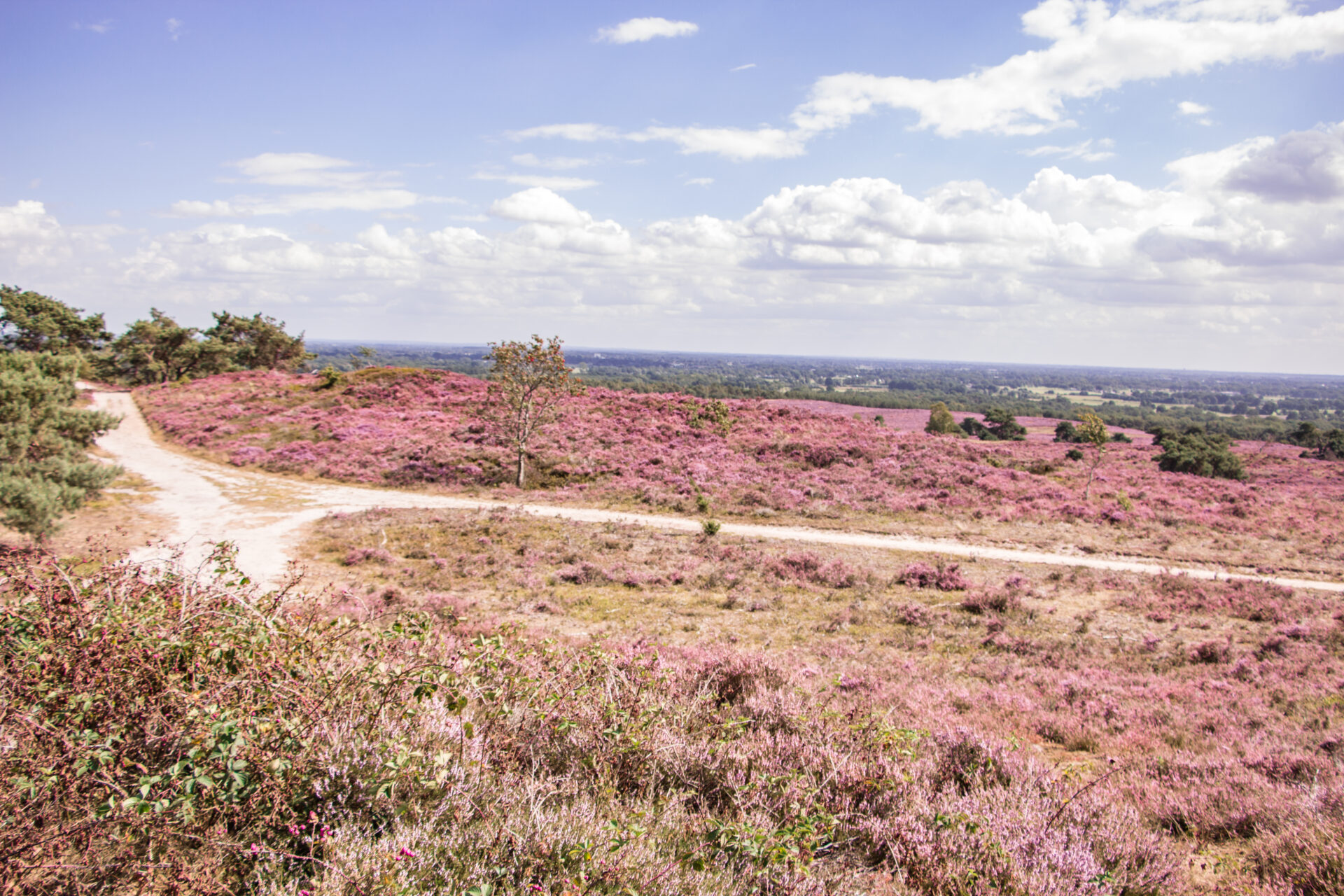 De kracht van stilte - Up in the Air