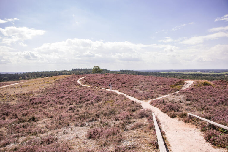 De kracht van stilte - Up in the Air