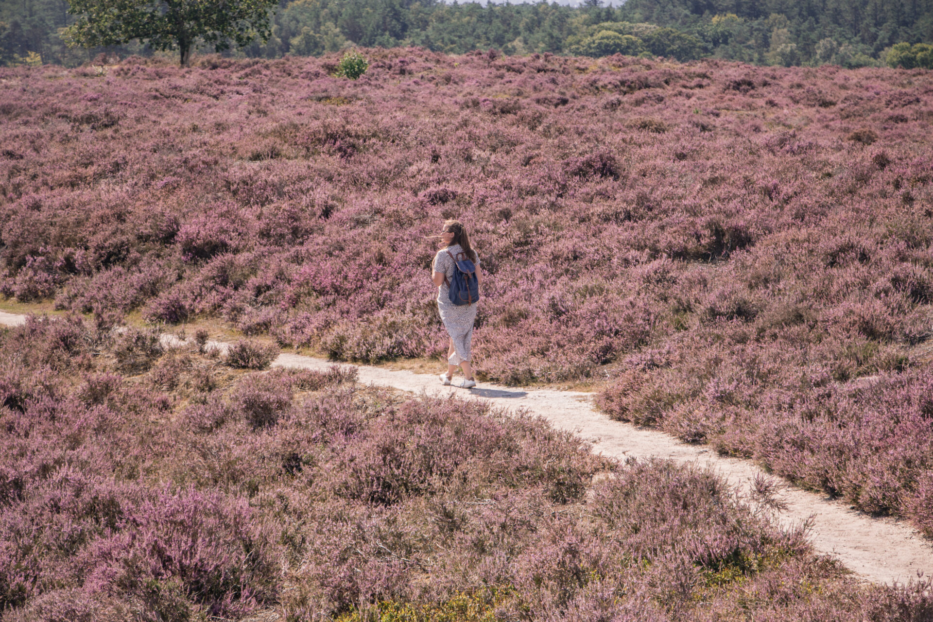 De kracht van stilte - Up in the Air