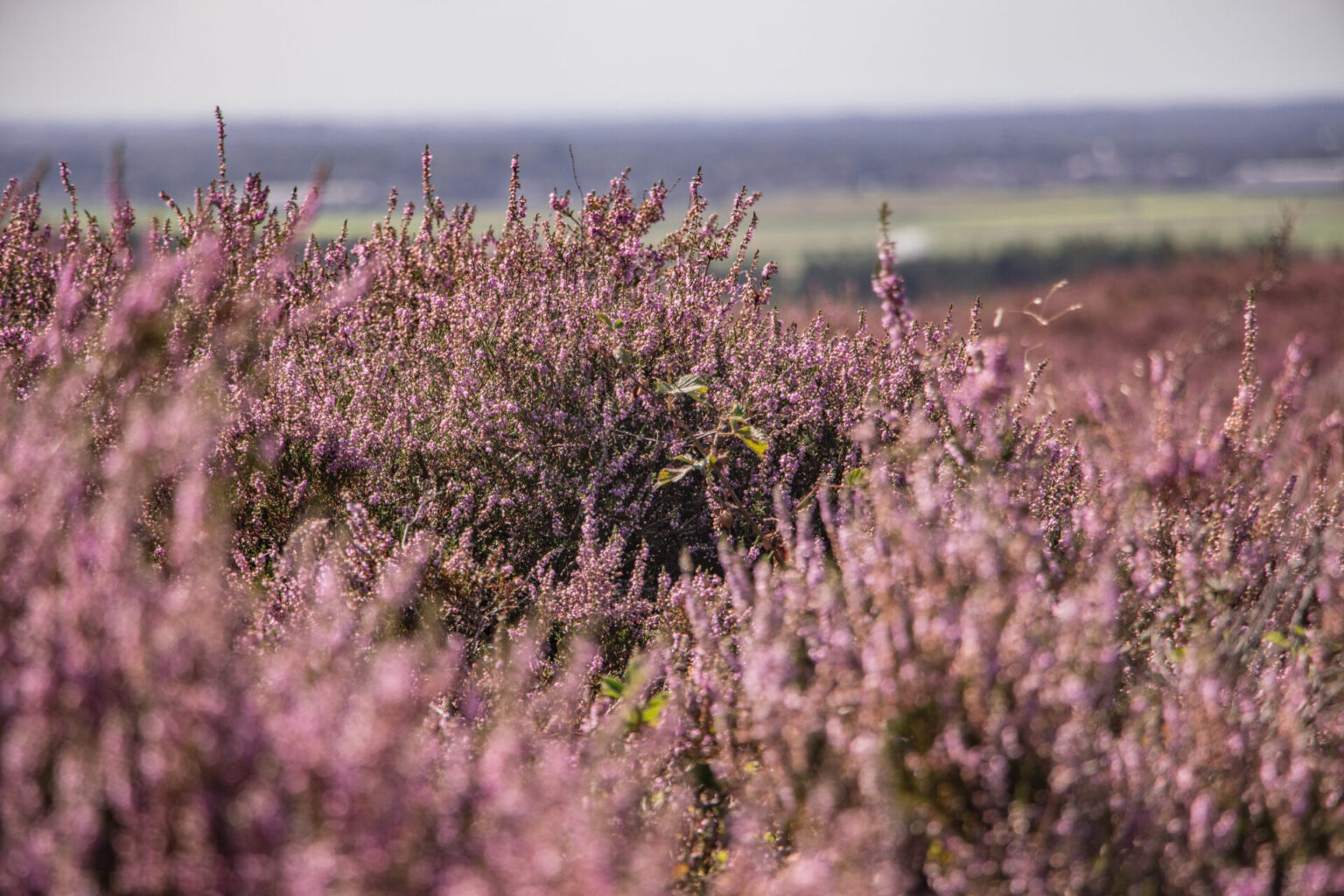 De kracht van stilte - Up in the Air