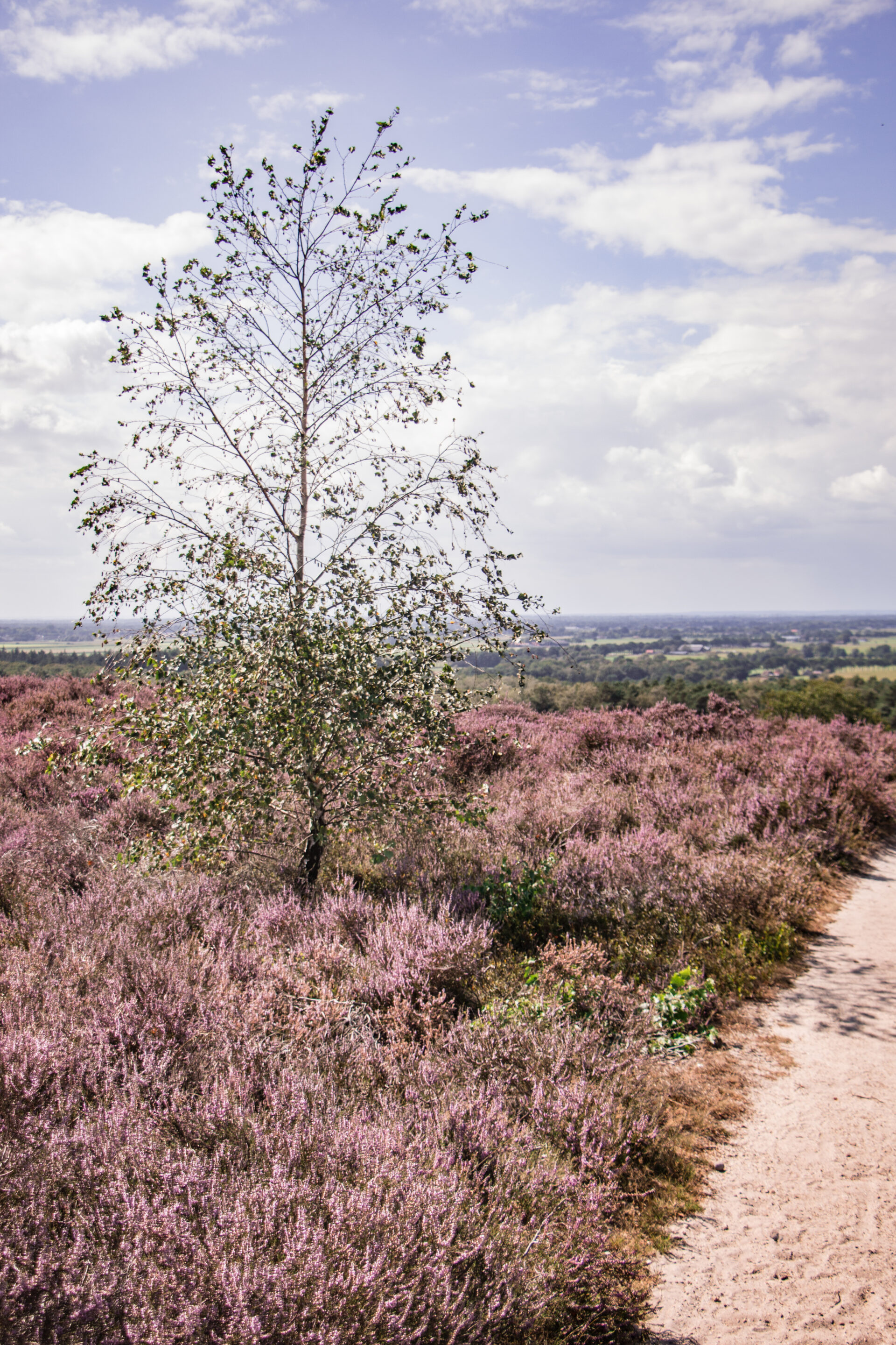 De kracht van stilte - Up in the Air