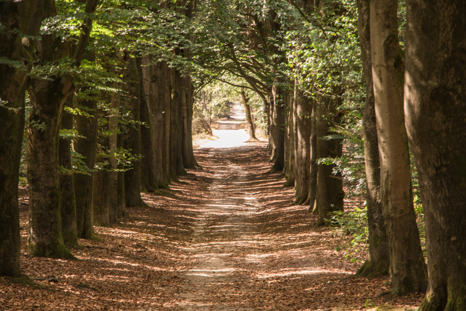 De kracht van stilte - Up in the Air