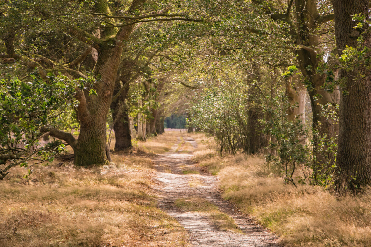 De kracht van stilte - Up in the Air
